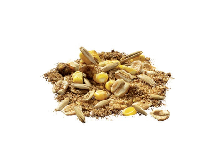 Pavo Slobber Mash - der warme Leckerbissen - pferdefutter.de