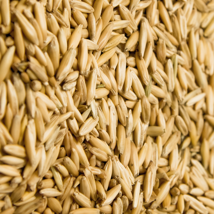 Höveler Skandi Hafer - pferdefutter.de